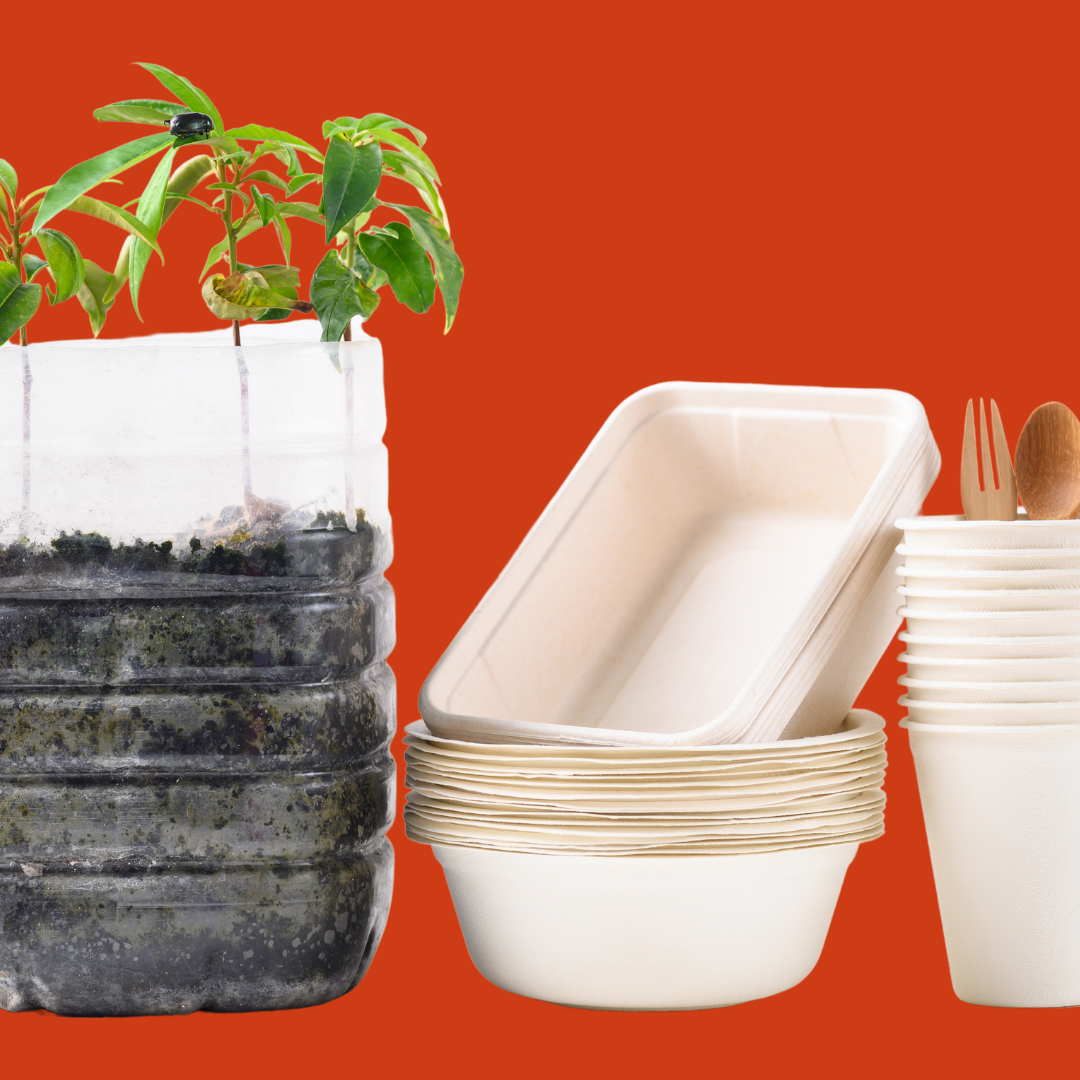 Beyond Plastics - Demystifying Biodegradable & Compostable Plastics ...
