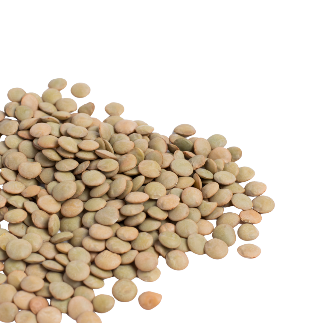 Organic Green Lentils in Bulk | Plastic-Free | SUPPLY — SUPPLY Bulk Foods