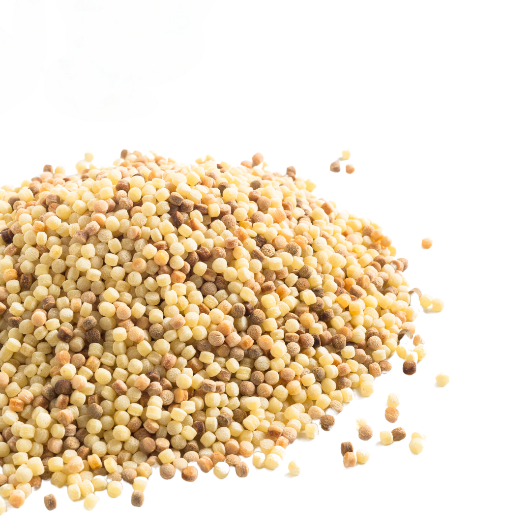Organic Italian Couscous — SUPPLY Bulk Foods