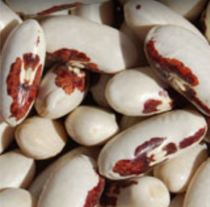 Soldier Beans: Heirloom Variety for Baking and Soups — SUPPLY Bulk Foods