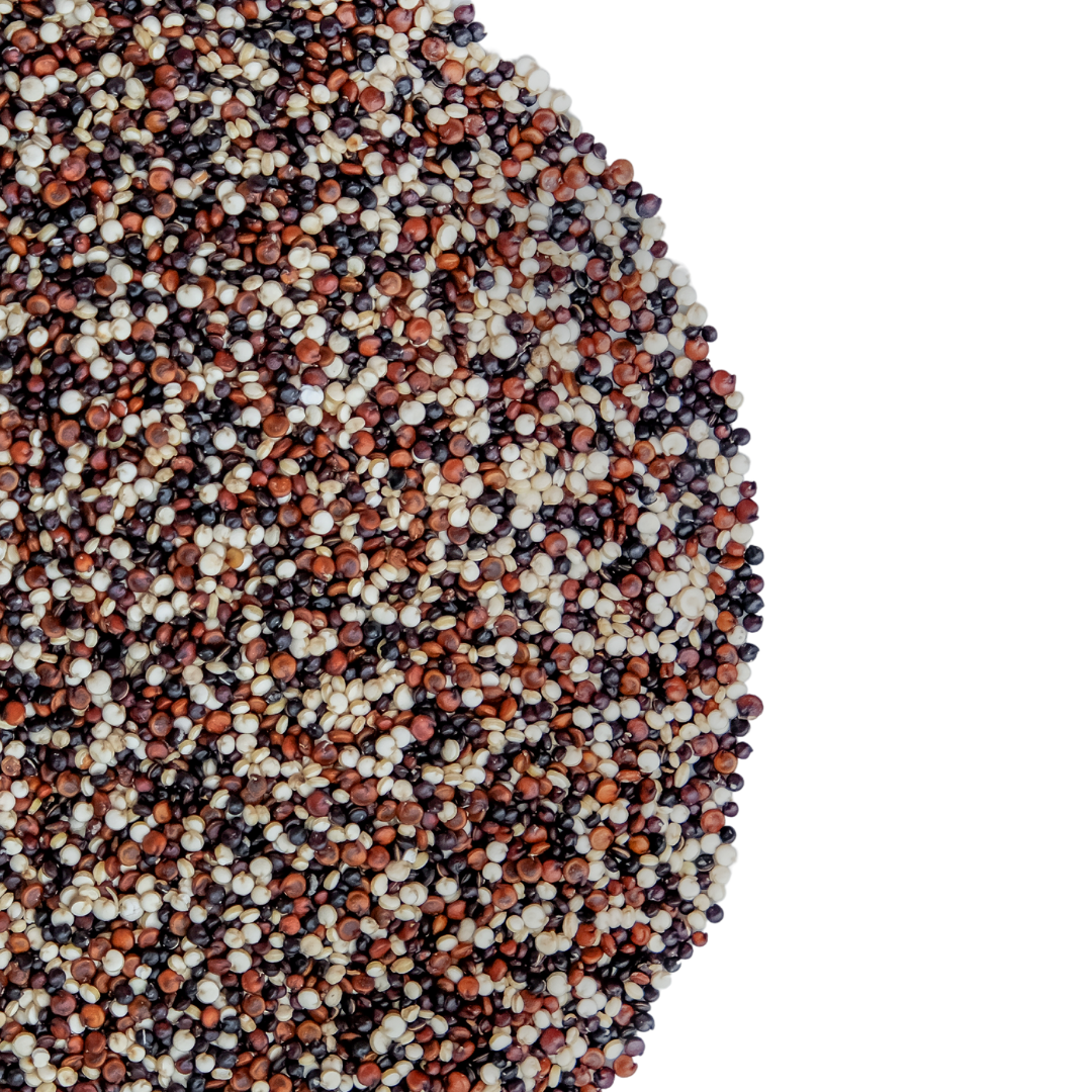 Organic Tri-Colored Quinoa — SUPPLY Bulk Foods