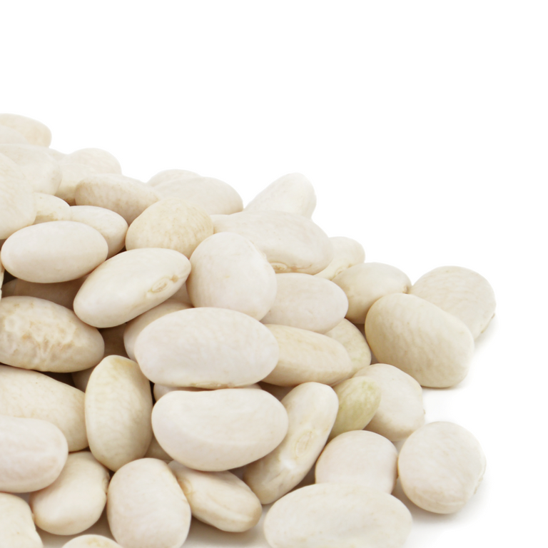 Bulk Beans | Nourishing & Plastic-Free — SUPPLY Bulk Foods