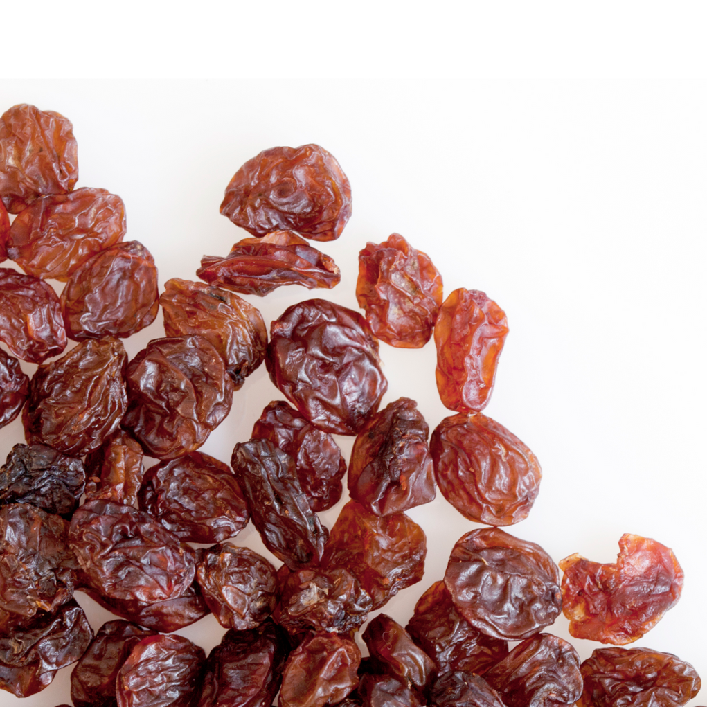 Supply Bulk Foods — SUPPLY Bulk Foods