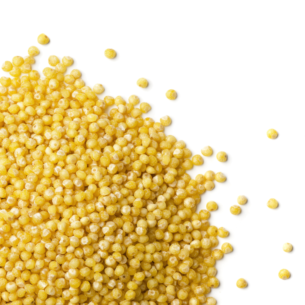 Organic Millet, hulled — SUPPLY Bulk Foods
