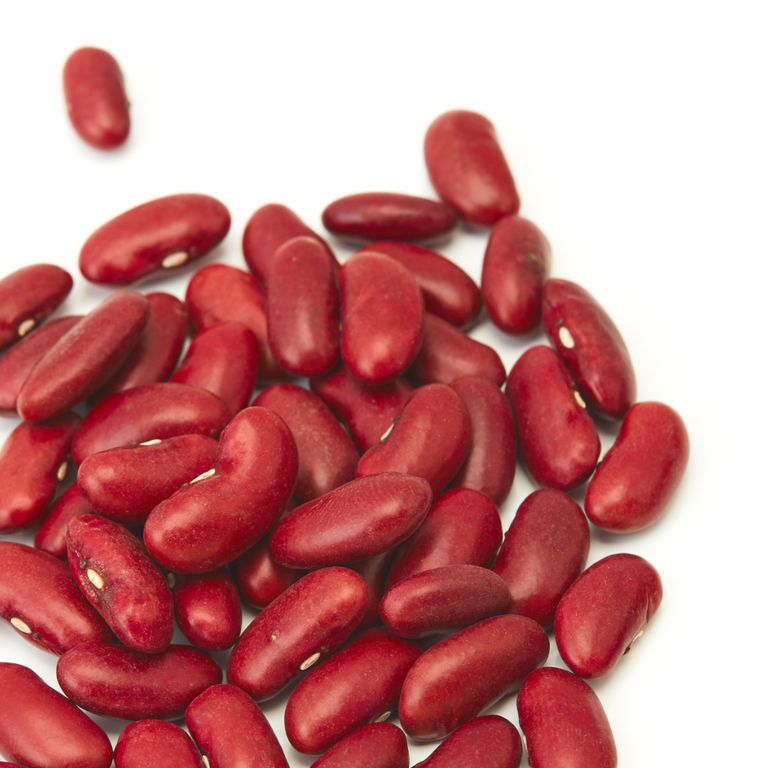 Bulk Beans | Nourishing & Plastic-Free — SUPPLY Bulk Foods